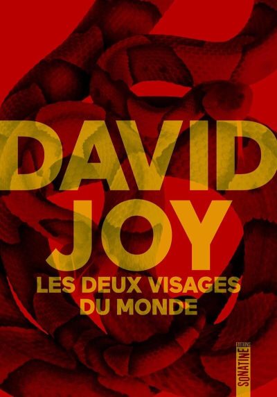 Les deux visages du monde, David Joy, Avis de lecture
